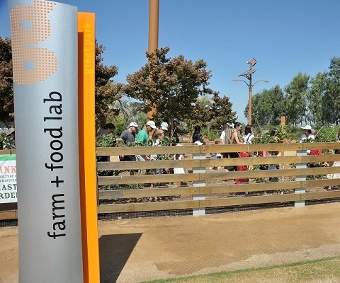 Visit the Farm + Food Lab at the Great Park - Irvine Community News and ...